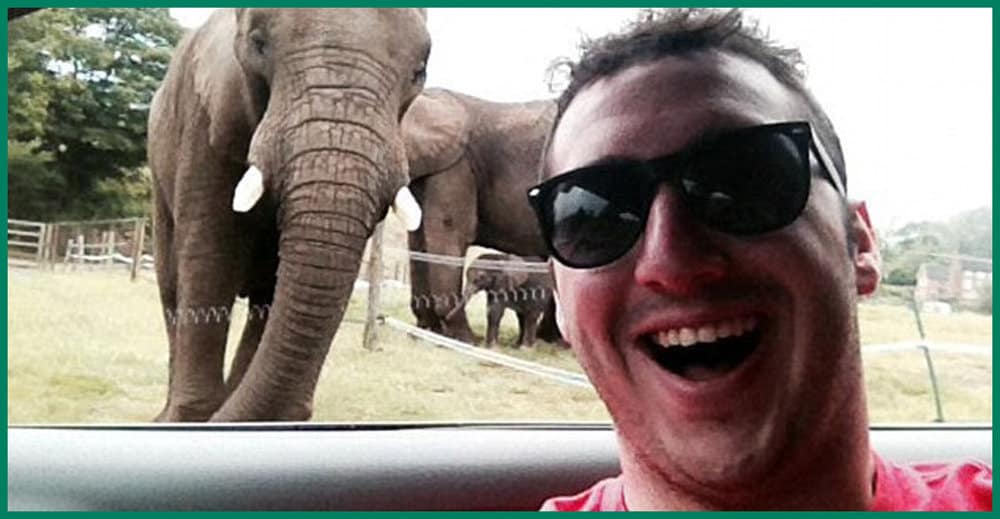 Elephant Takes the World's First 'Elfie' Using Dropped iPhone at Safari ...
