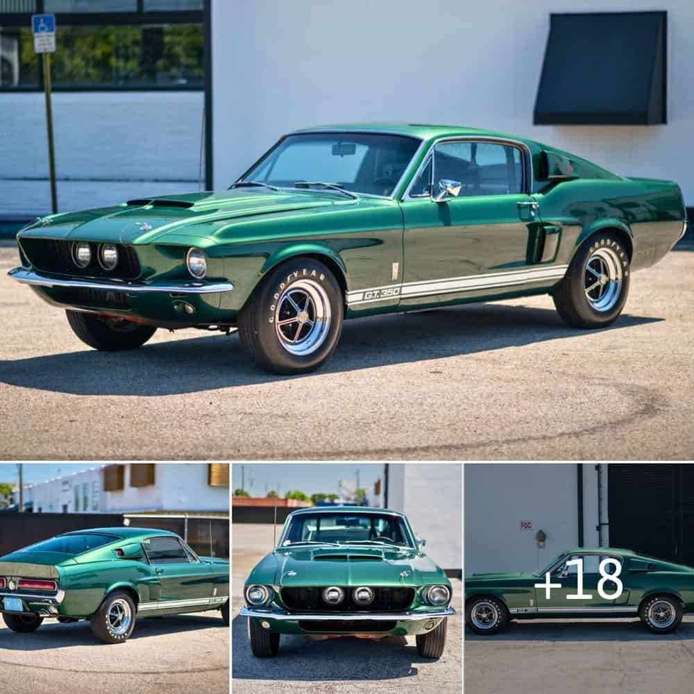 1967 Shelby Mustang GT350 Fastback 4-Speed
