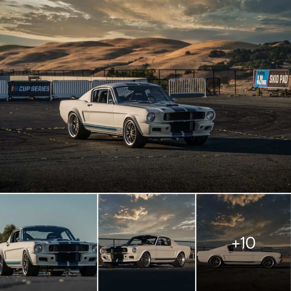 Unleashing Power and Elegance: Exploring the 1965 Ford Mustang Fastback