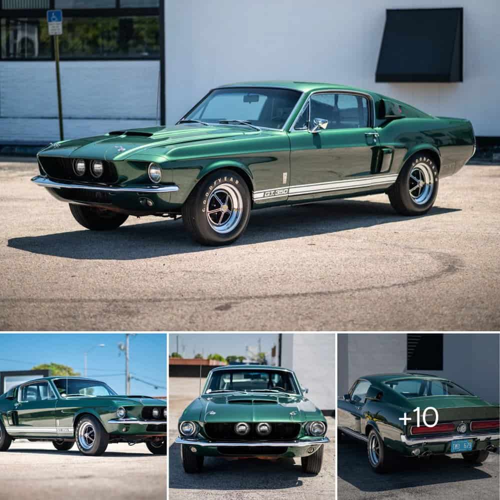 Unveiling the Legendary 1967 Shelby Mustang GT350 Fastback