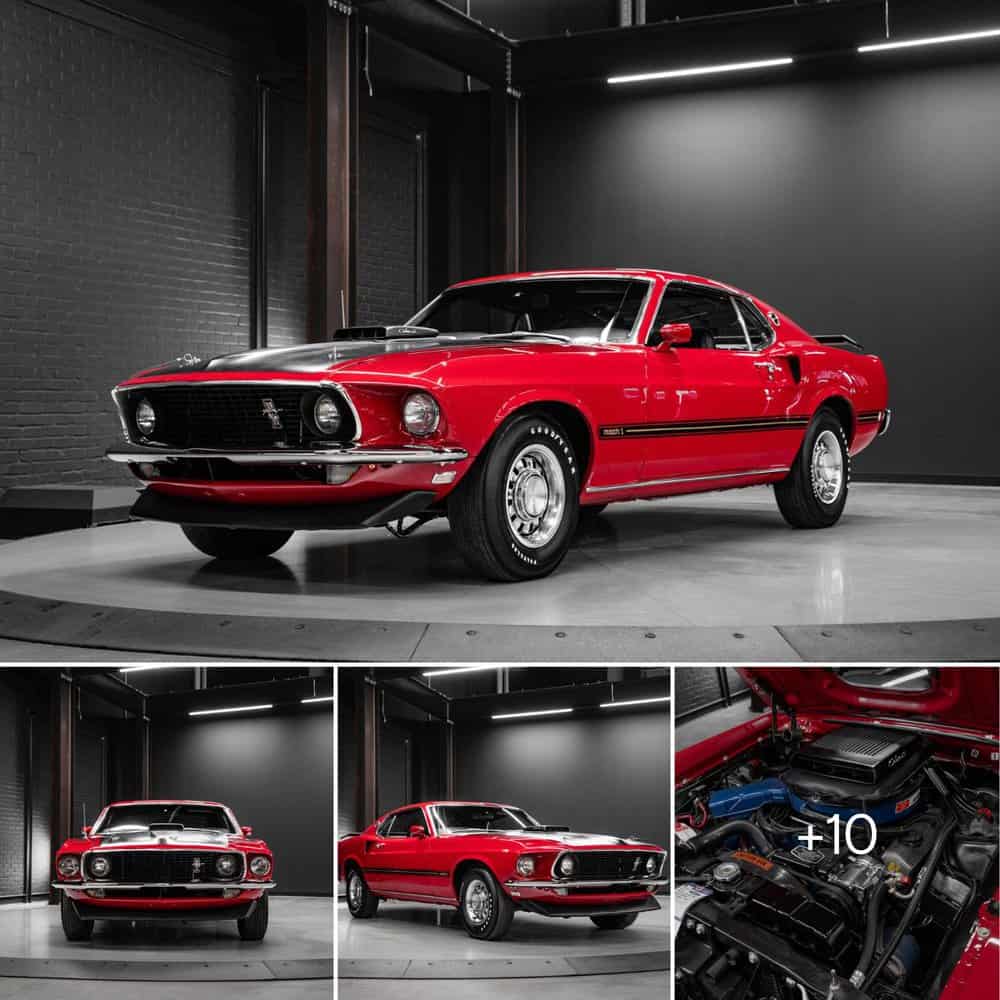 Unveiling the Legends: The 1969 Ford Mustang Mach 1 R Code 428