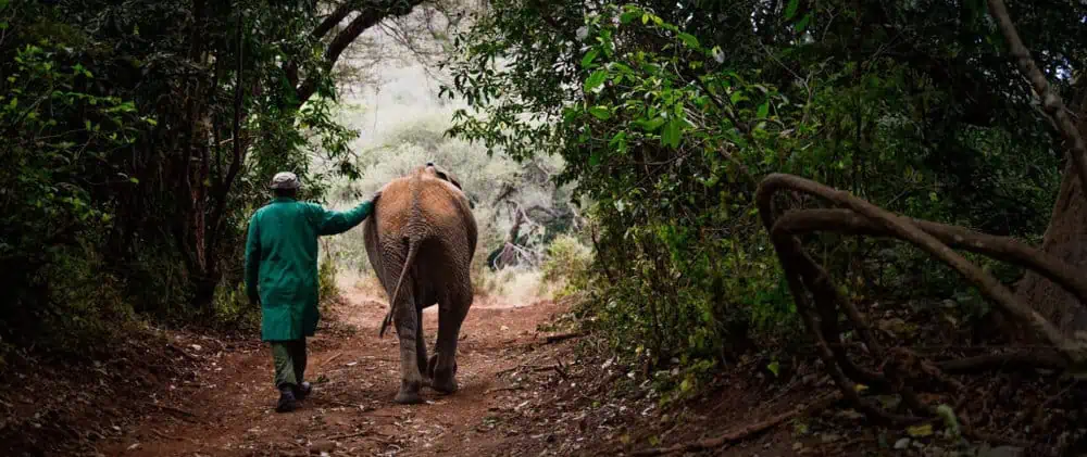 In Loving Memory of Shukuru: A Journey of Resilience and Gratitude