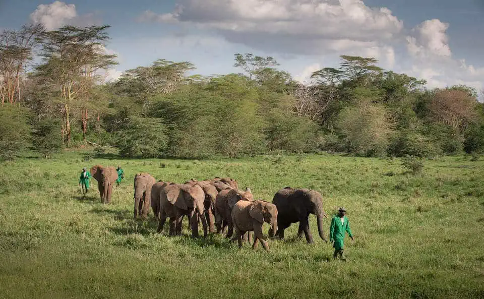 In Loving Memory of Shukuru: A Journey of Resilience and Gratitude