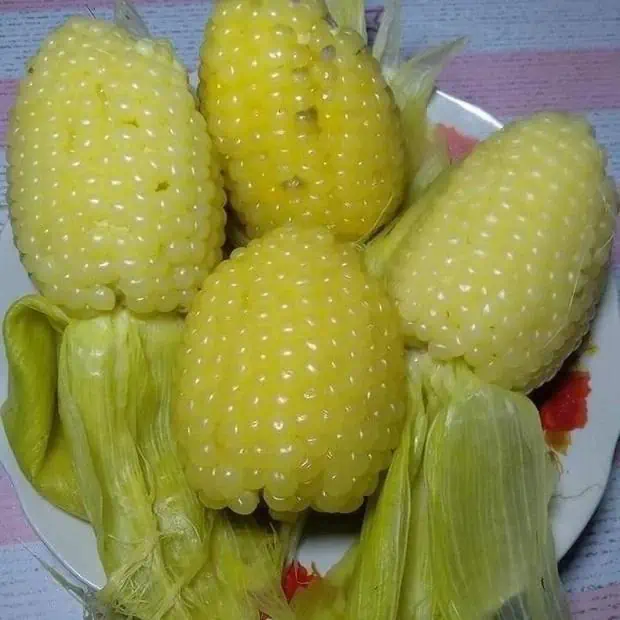 Cooking Corn: The Mind-Blowing Transformation that Stuns All!