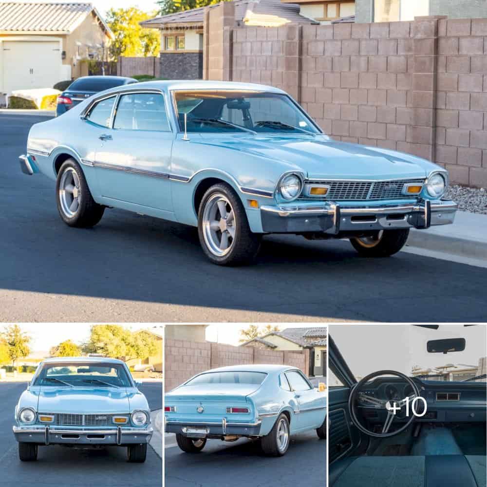 Embracing Timeless Style: Exploring the Enduring Allure of the 1977 ...