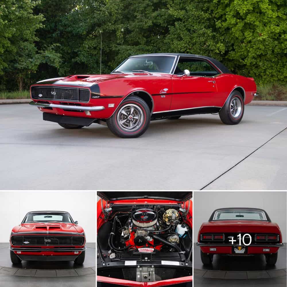 Unraveling the Legendary Yenko Chevrolet: An Ode to Muscle Car Mastery