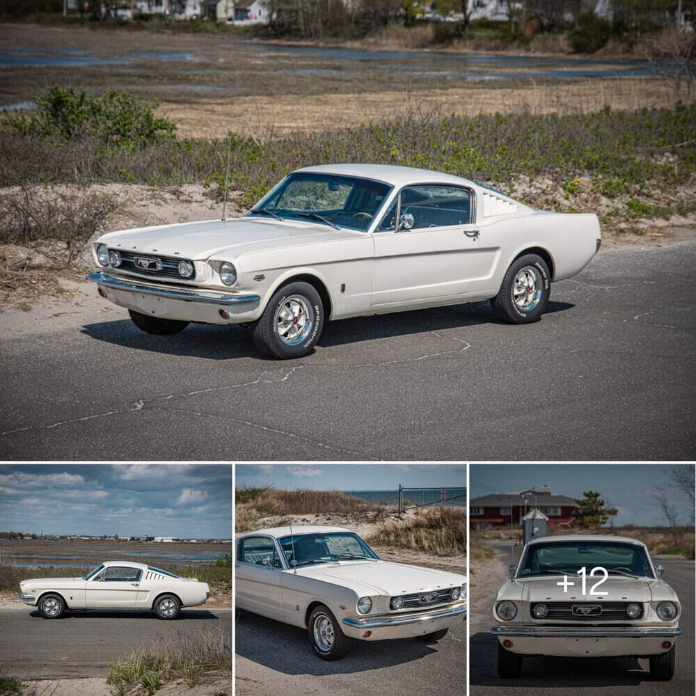 Unveiling the 1966 Ford Mustang Fastback: A Timeless American Icon