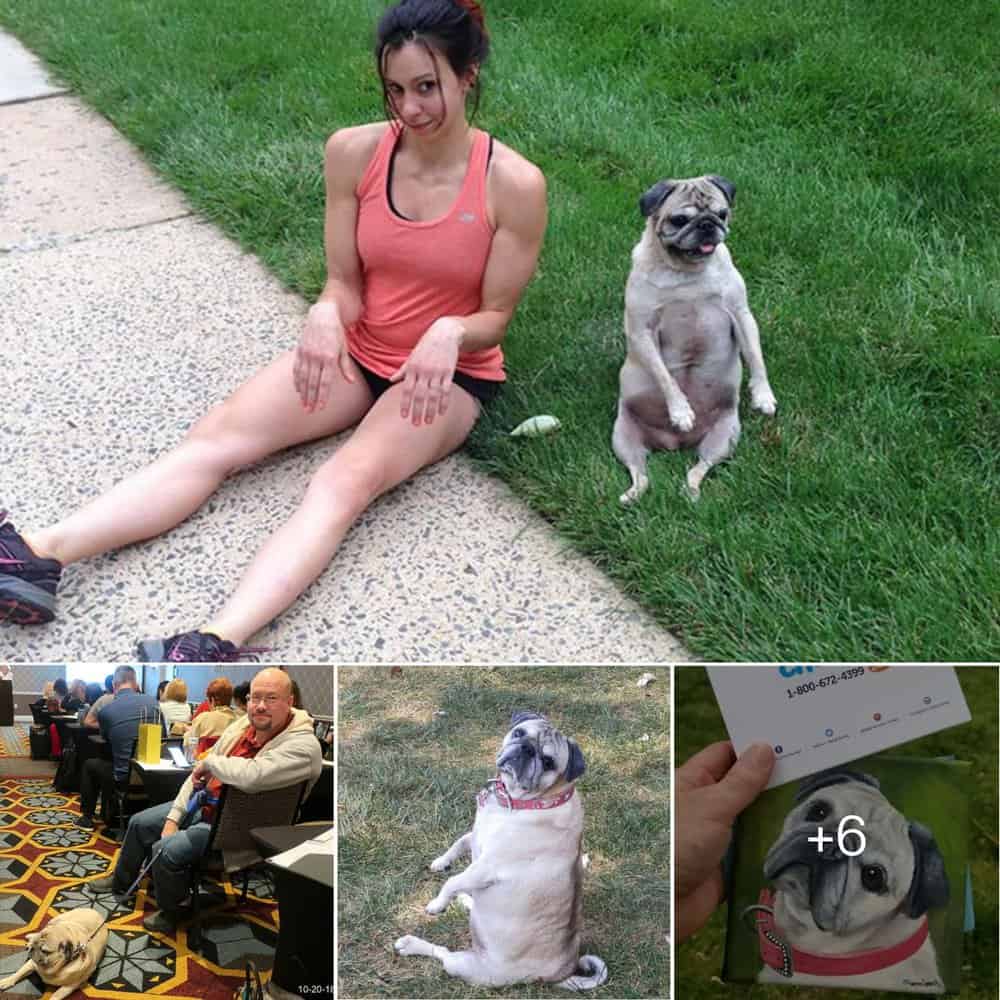 Chewy's Heartwarming Act: A Tribute to a Beloved Pet and Kindness Amid Loss