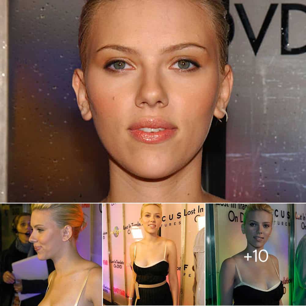 Scarlett Johansson Stuns At Lost In Translation” Dvd Release