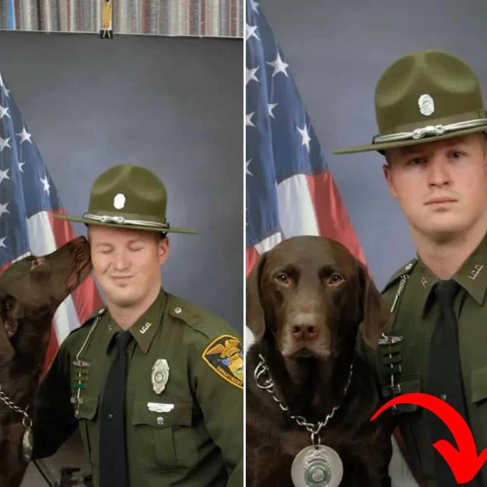 Adorable K9 Shows Heartwarming Affection During Official Photoshoot (VIDEO)