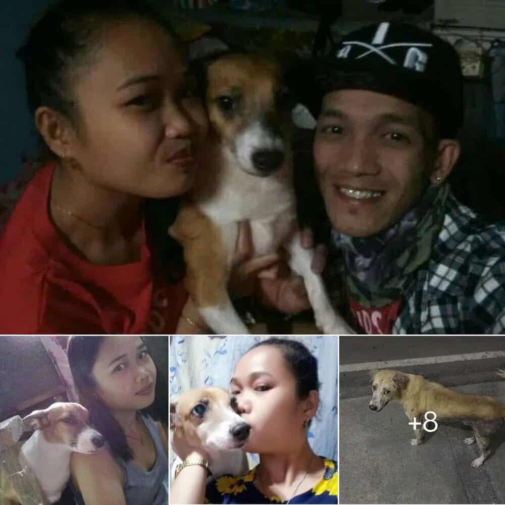 Saying Goodbye to a Beloved Family Dog: A Heartfelt Tribute