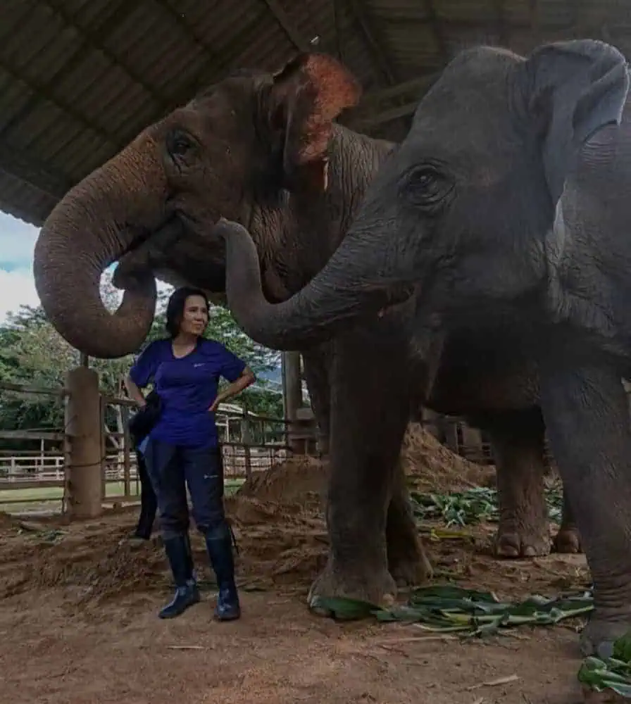 MuayLek's Journey to Freedom: From Circus Life to Sanctuary