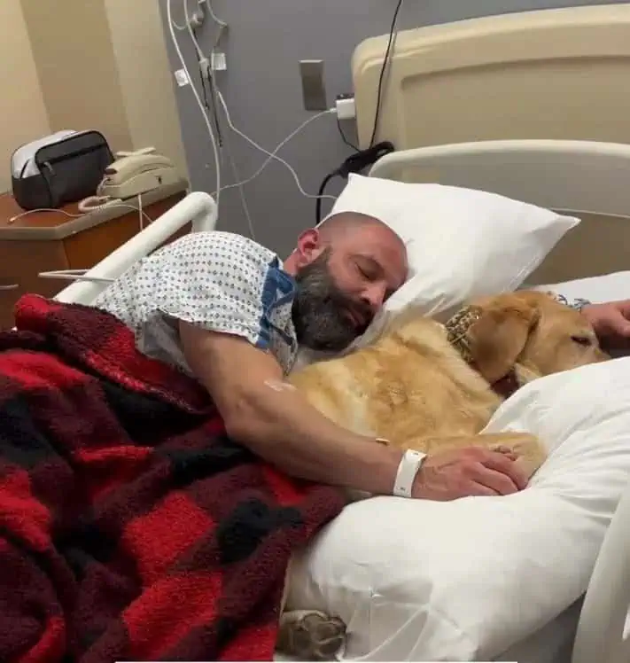 Heartwarming Tale of Magnus: The Loyal Dog Who Stayed by His Owner’s ...