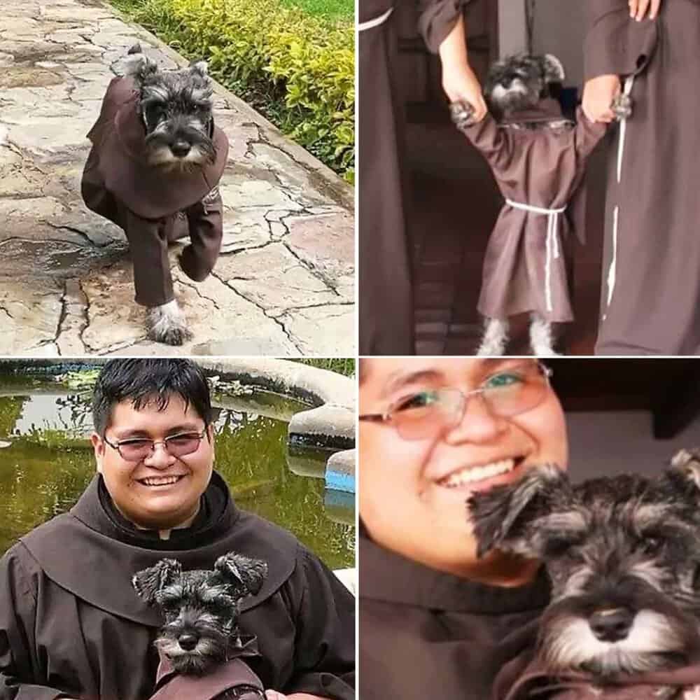 Adorable Dog Becomes Honorary Friar at Bolivian Monastery