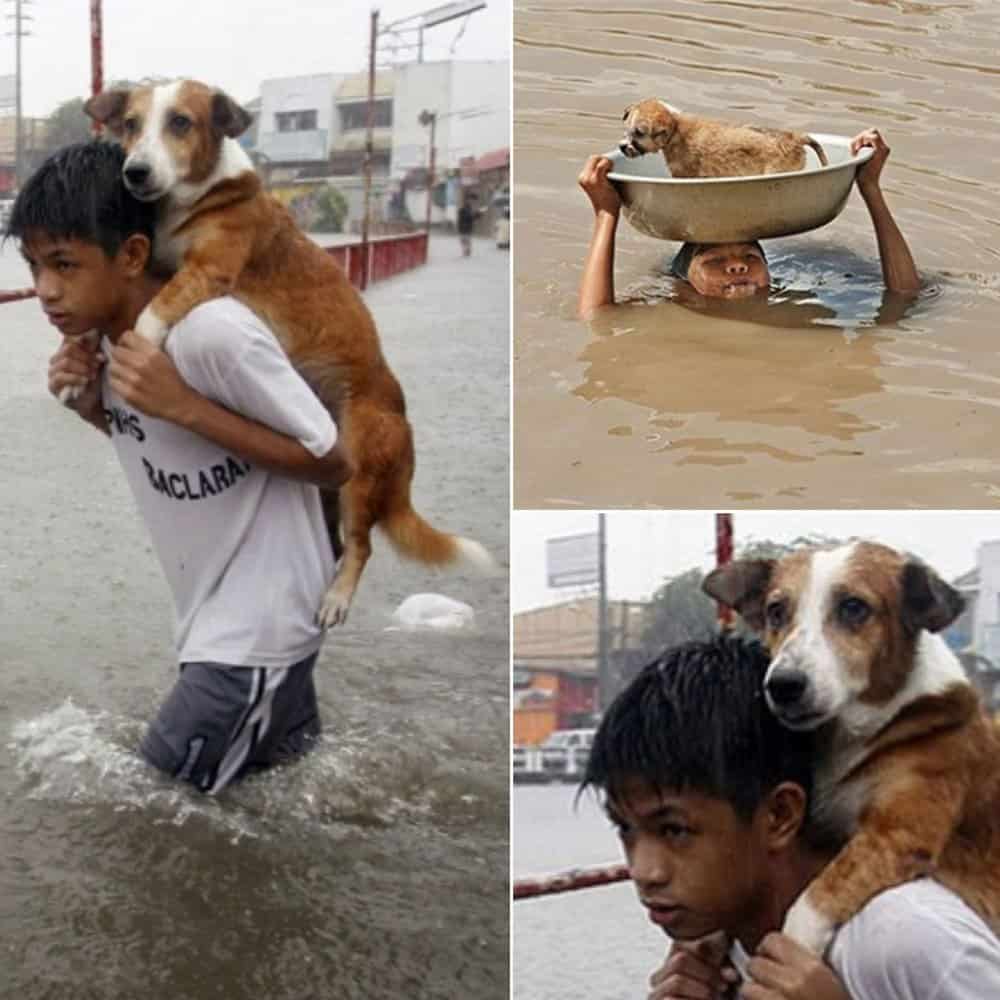 Seven Years Old Boy Becomes Hero by Rescuing Abandoned Dog in Storm