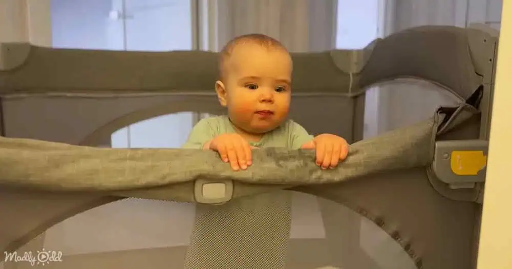Heartwarming Reunion: Baby Overjoyed to See His Beloved Dog (VIDEO)