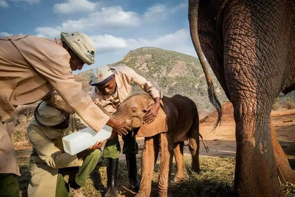 A Journey of Hope: Makena and Mumo’s Unbreakable Bond