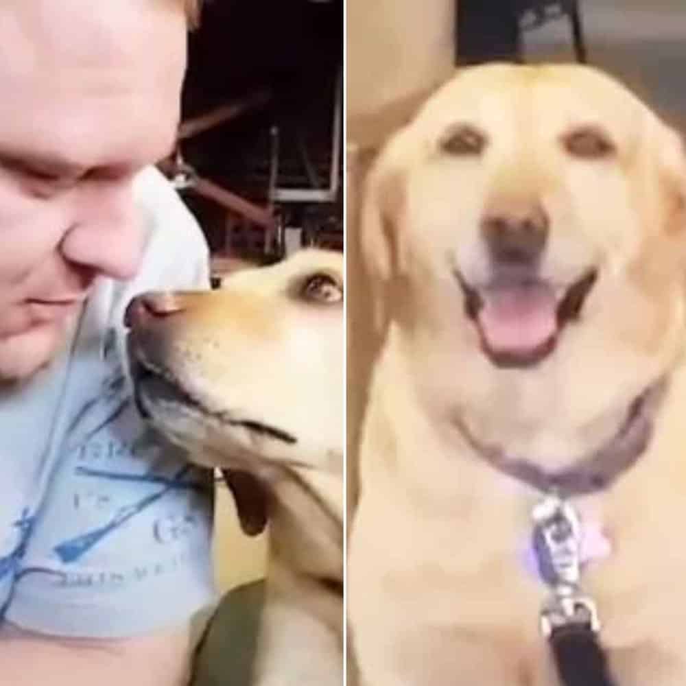 Loyal Rescue Dog Joins Dad at the Gym Every Day