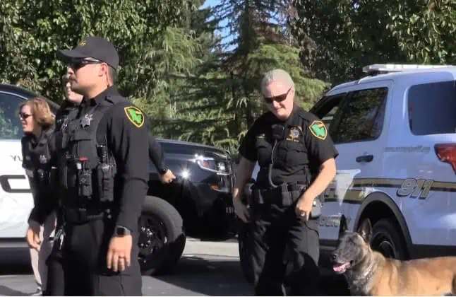 K9 Enzo Steals the Spotlight in Police Dance-Off Video (VIDEO)
