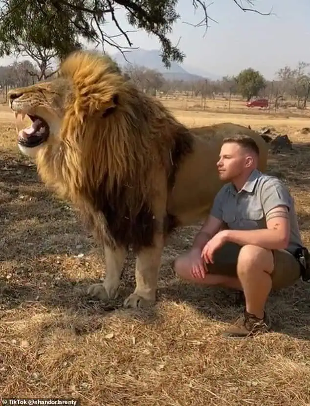 Meet the Young Lion Tamer and His Best Friend, a Majestic Lion Named George