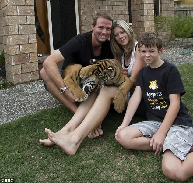 Exploring the Heartwarming Lives of Rescue Tiger Cubs