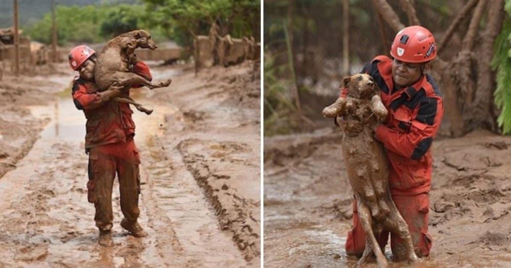 Heroic Rescue: Dog Trapped in Quicksand Saved by Brave Team