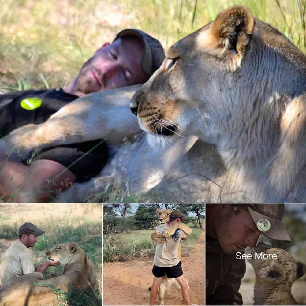 Man and Lion Share Heartwarming Bond After a Decade of Friendship