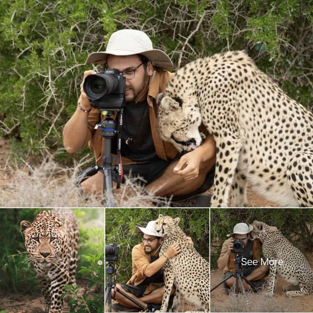 Photographer Receives Unexpected Hug from Cheetah in Heartwarming Moment