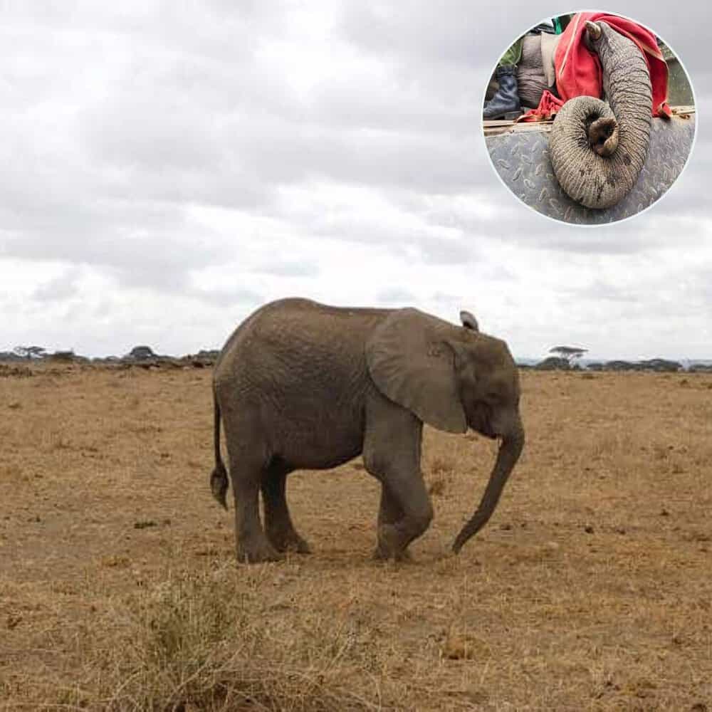 [Video] A Journey of Resilience: Barnoti's Story of Survival