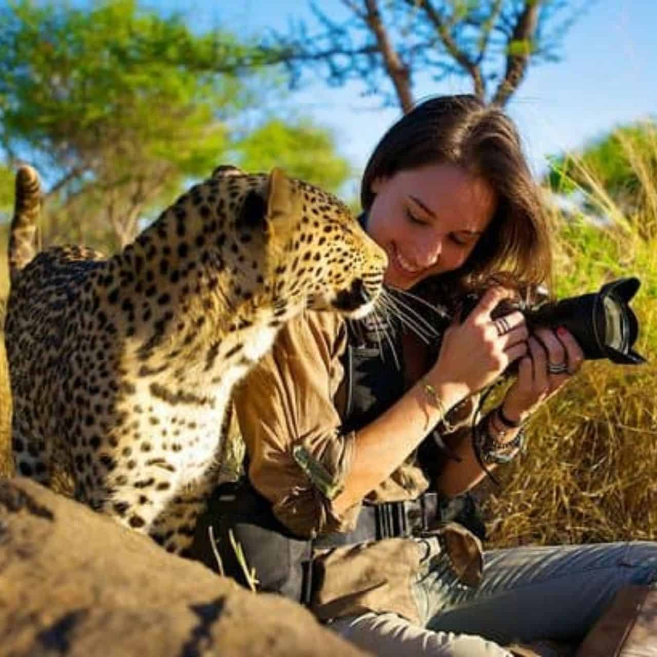 Playful Leopard Attempts to Steal Photographer's Camera