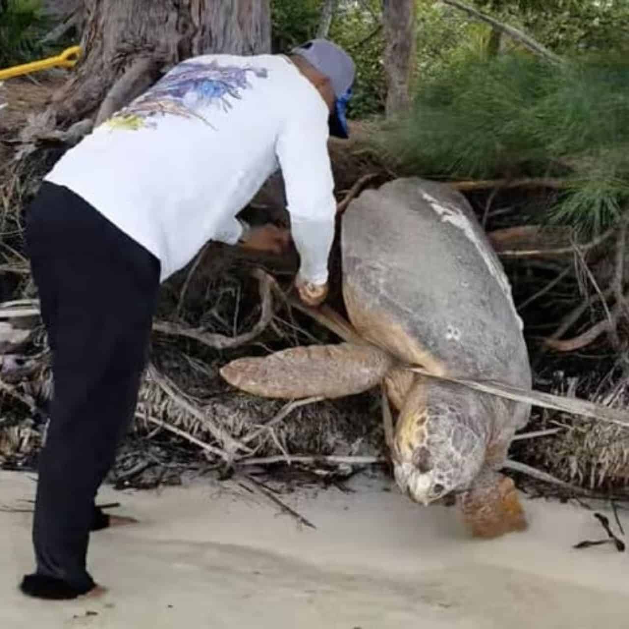 Family's Heartwarming Rescue of a Trapped Sea Turtle