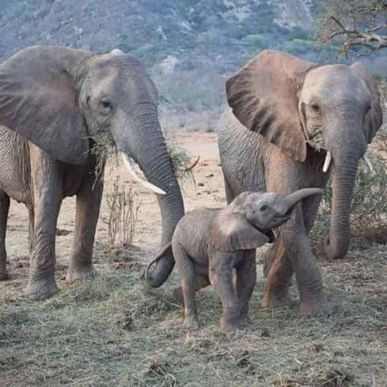 The Inspiring Journey of Yatta: From Orphan to Matriarch