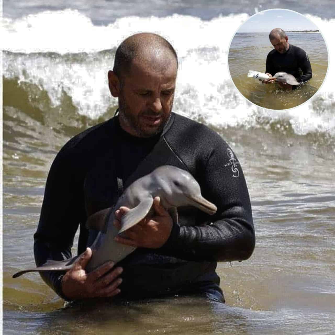 A Heartwarming Bond: Man and Dolphin Unite Against the Odds