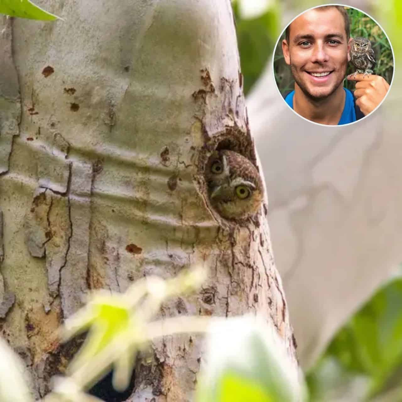 [Video] Discovering the Elf Owl: The World’s Smallest Raptor