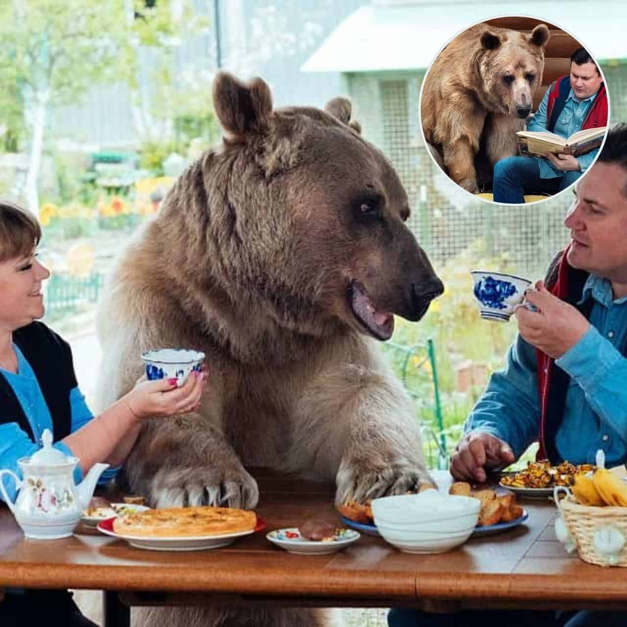 [Video] Meet Stepan: The Bear Who Lives Like Family in Russia