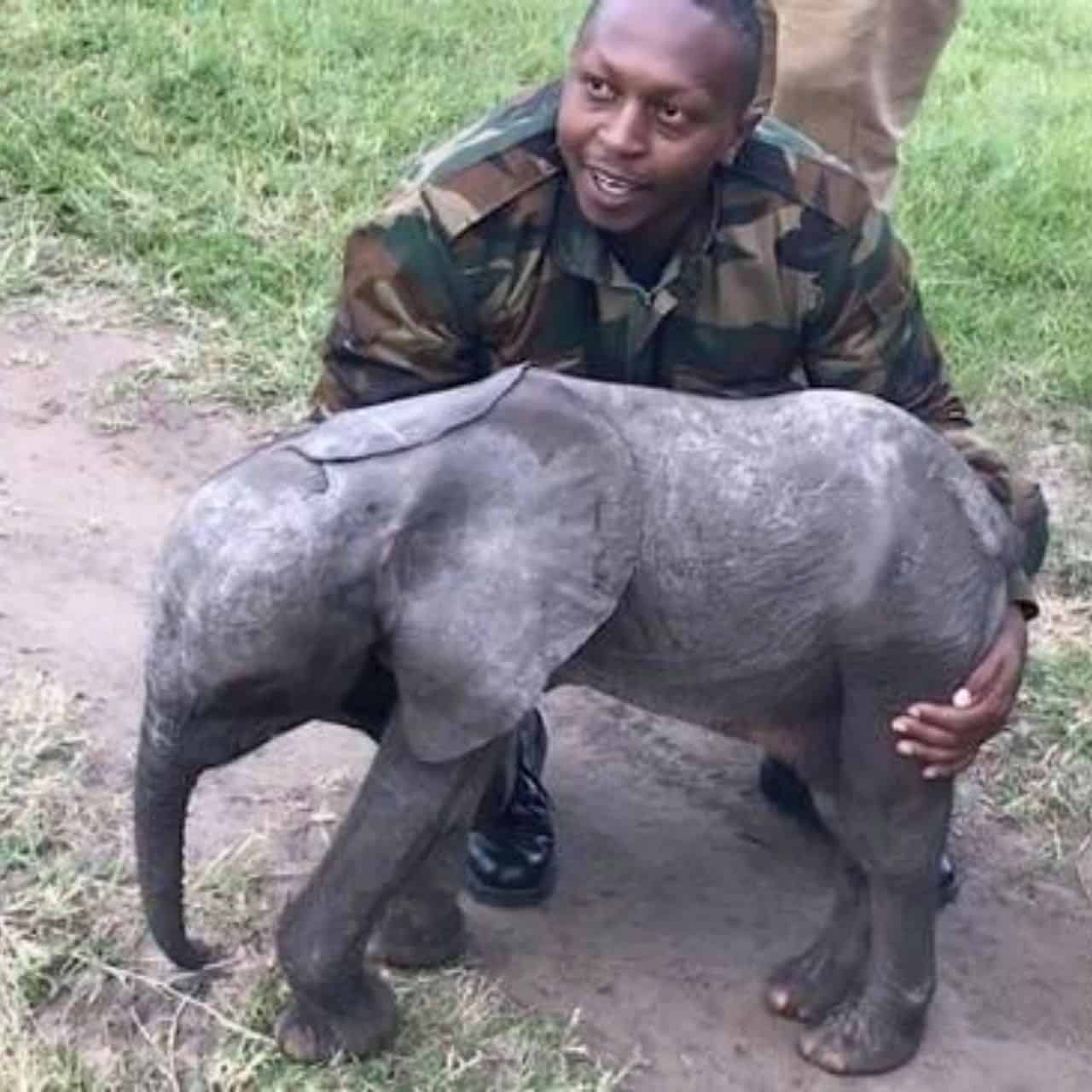Brave Rescue of Newborn Elephant Captivates Hearts