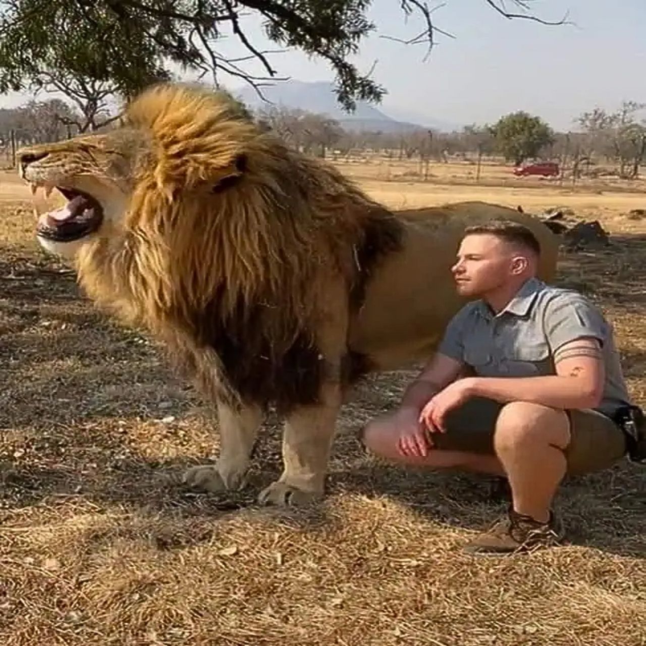 Meet the Young Lion Tamer and His Best Friend, a Majestic Lion Named George