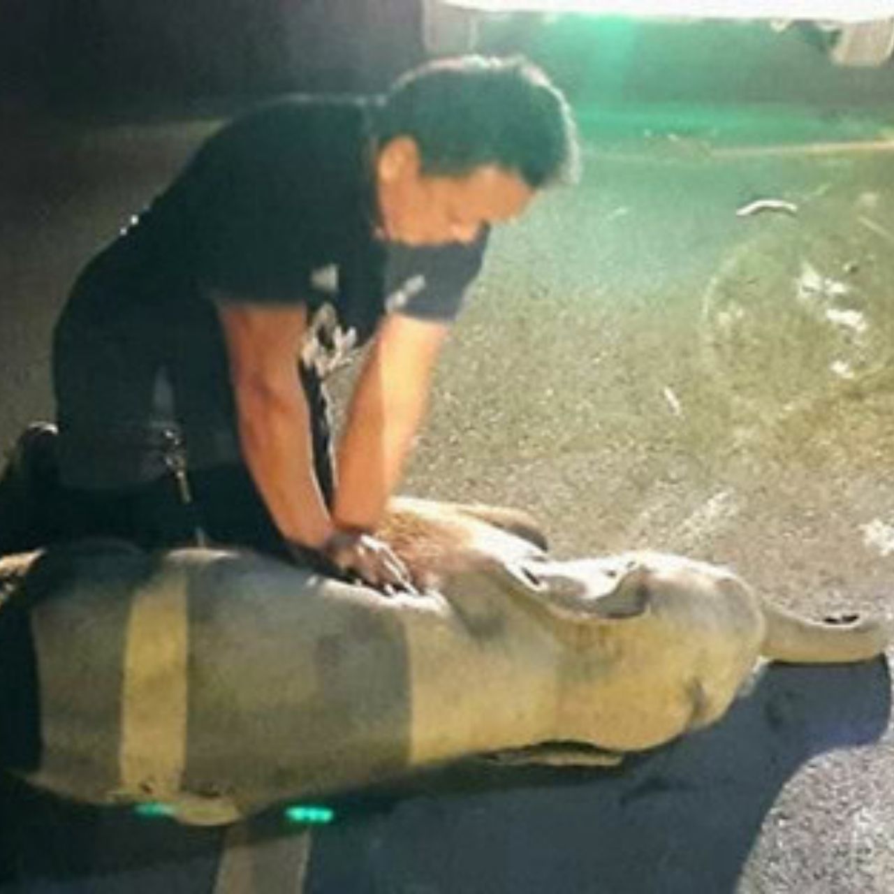 Lifesaving Moments: Rescuer Revives Baby Elephant After Accident