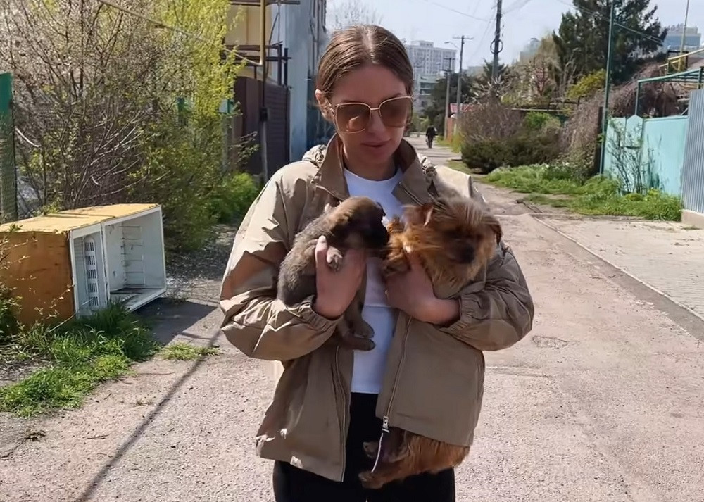 Rescue Mission: Busya and Her Pup Buddy Find Hope and Safety in New ...