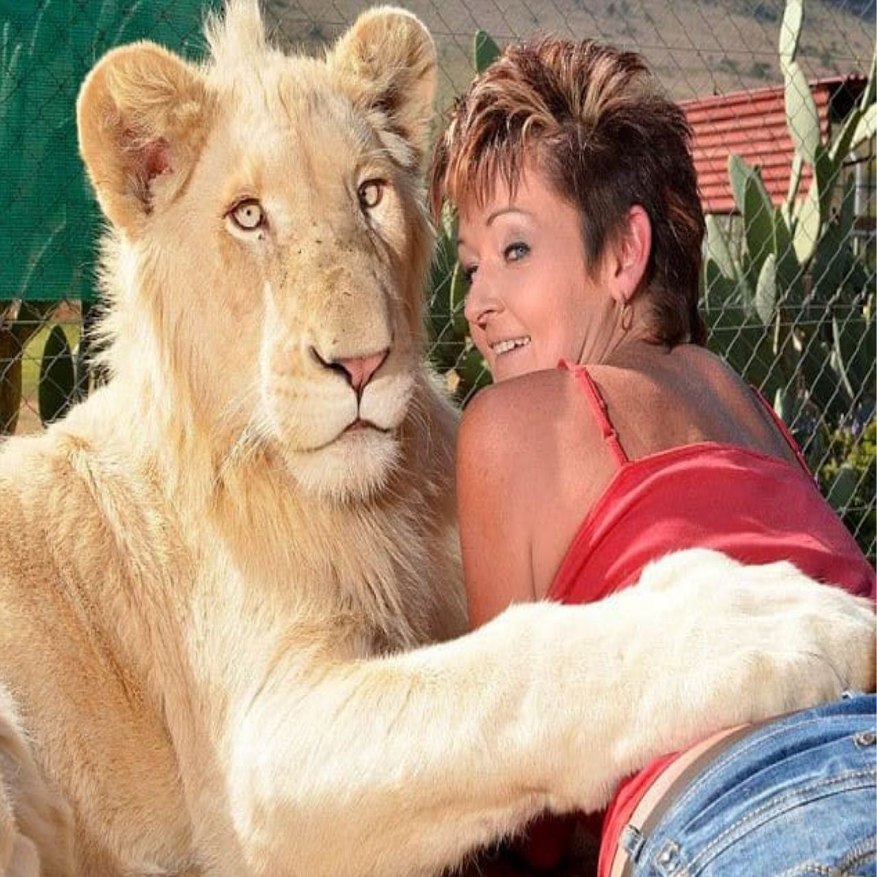 Meet Timba: The Gentle Giant of the South African Garden