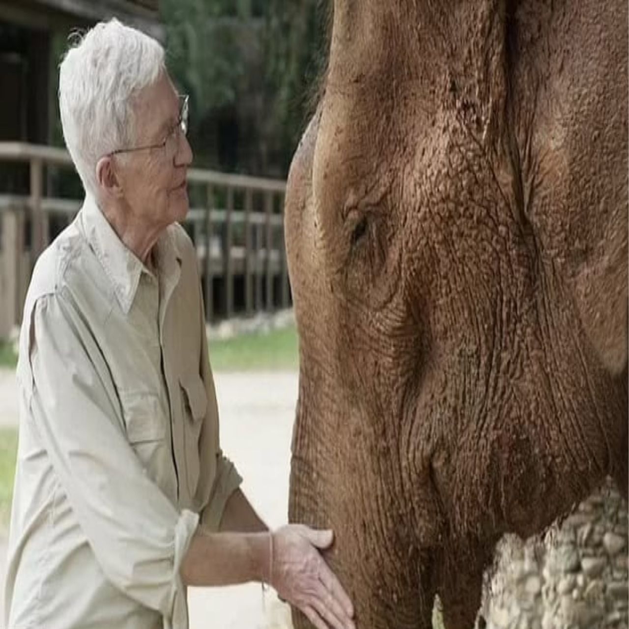 Celebrating Paul O'Grady's Love for Elephants in His Final Adventure