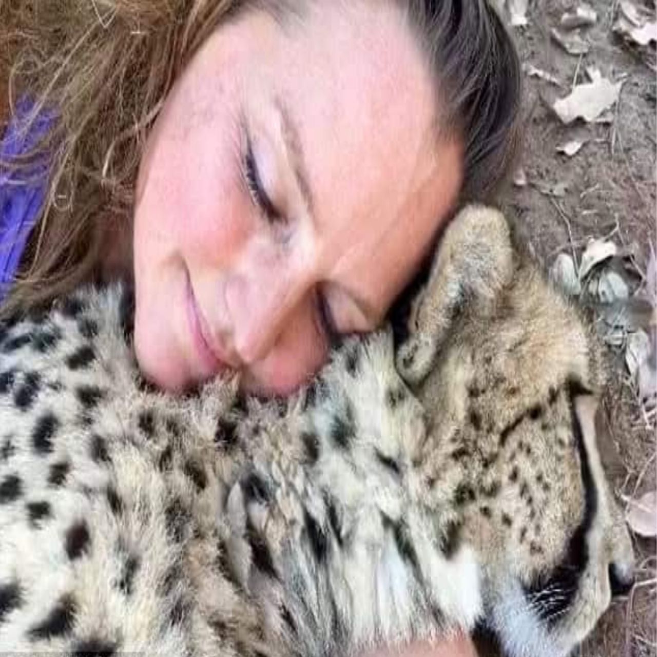 Heartwarming Bond: Keeper and Cheetahs in South Africa