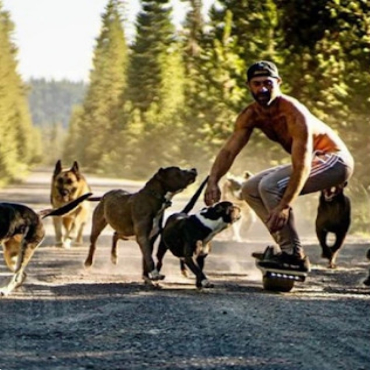 From Shelters to Safety: Lee Asher's Lifelong Mission of Animal Rescue ...