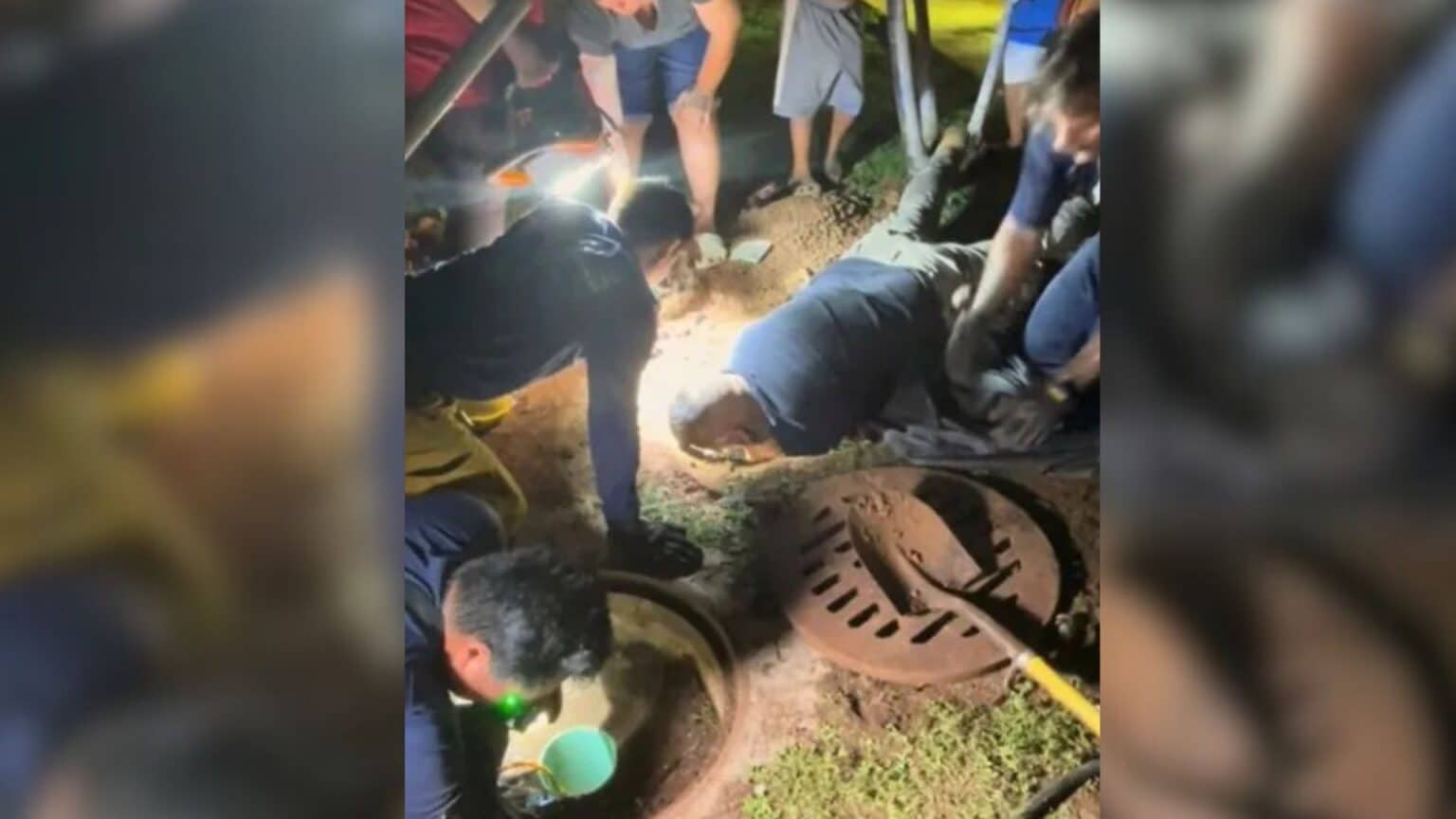 Pit Bull Pursuit Turns into Daring Rescue Adventure in Hawaii